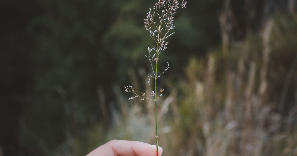 Gratitude: Your Happiness Hack Cory Muscara by Cory Muscara ...
