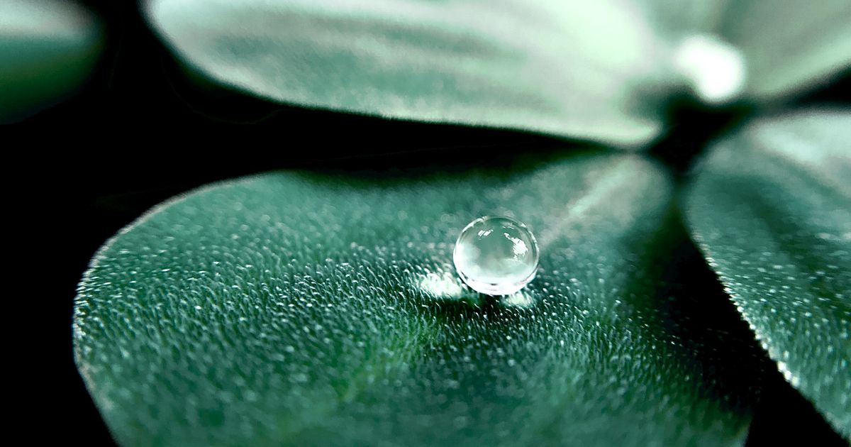 Anapana Meditation Meditation by Melli O'Brien | Mindfulness.com