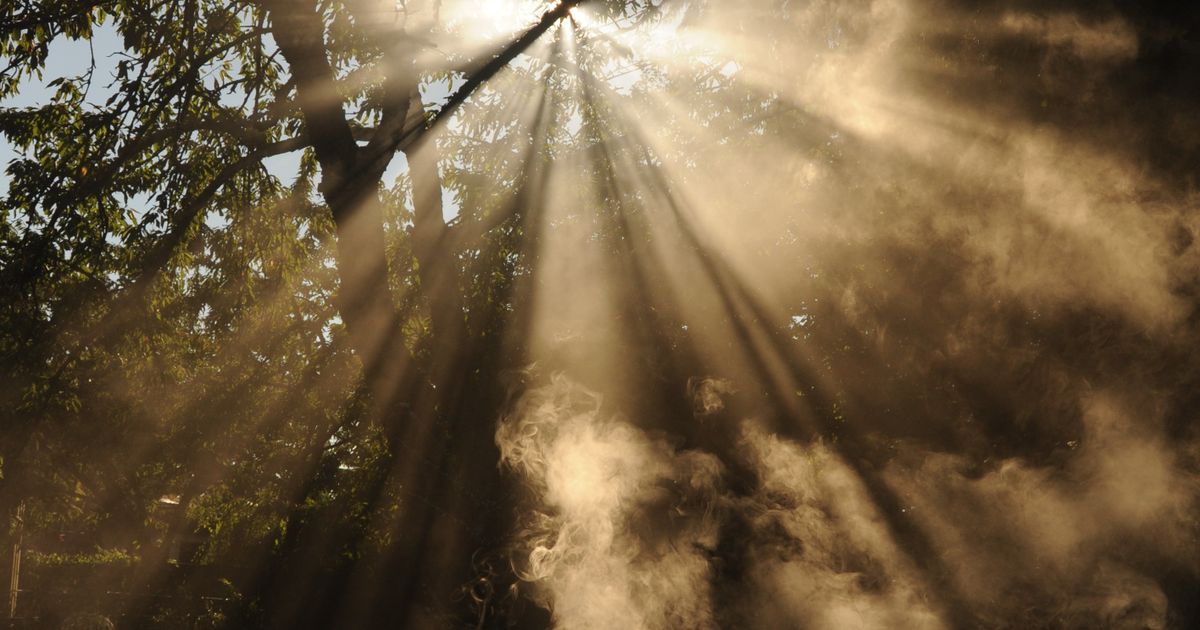 Filling the Body With Light Meditation by Vidyamala Burch | Mindfulness.com