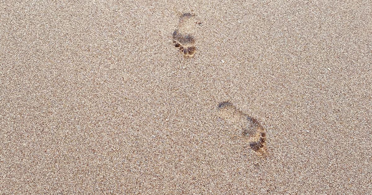 Self-Compassion Meditation by Cory Muscara | Mindfulness.com