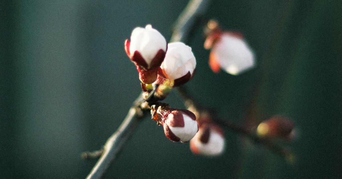The Power of Curiosity Meditation by Cory Muscara | Mindfulness.com