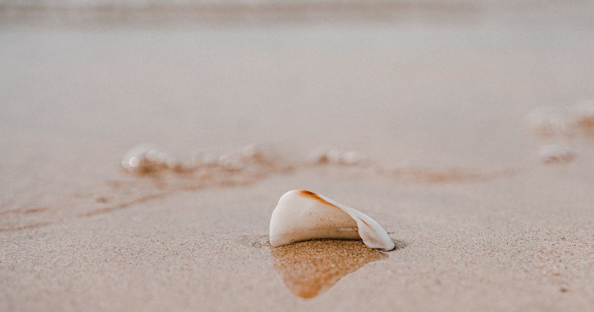 HALT: A Practice for Self-Care Cory Muscara by Cory Muscara ...