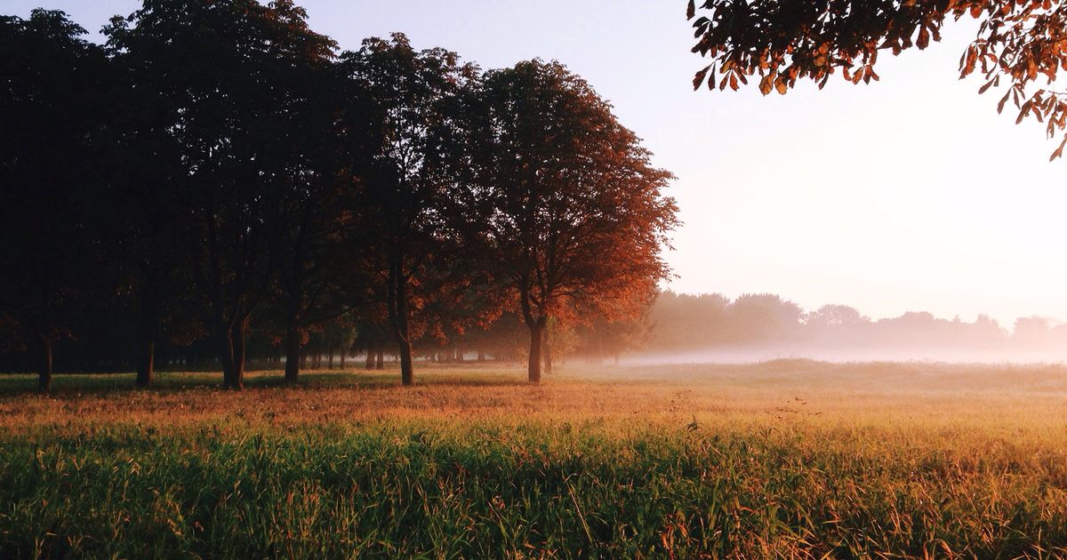 Befriending and Soothing Emotions Meditation by Melli O'Brien ...