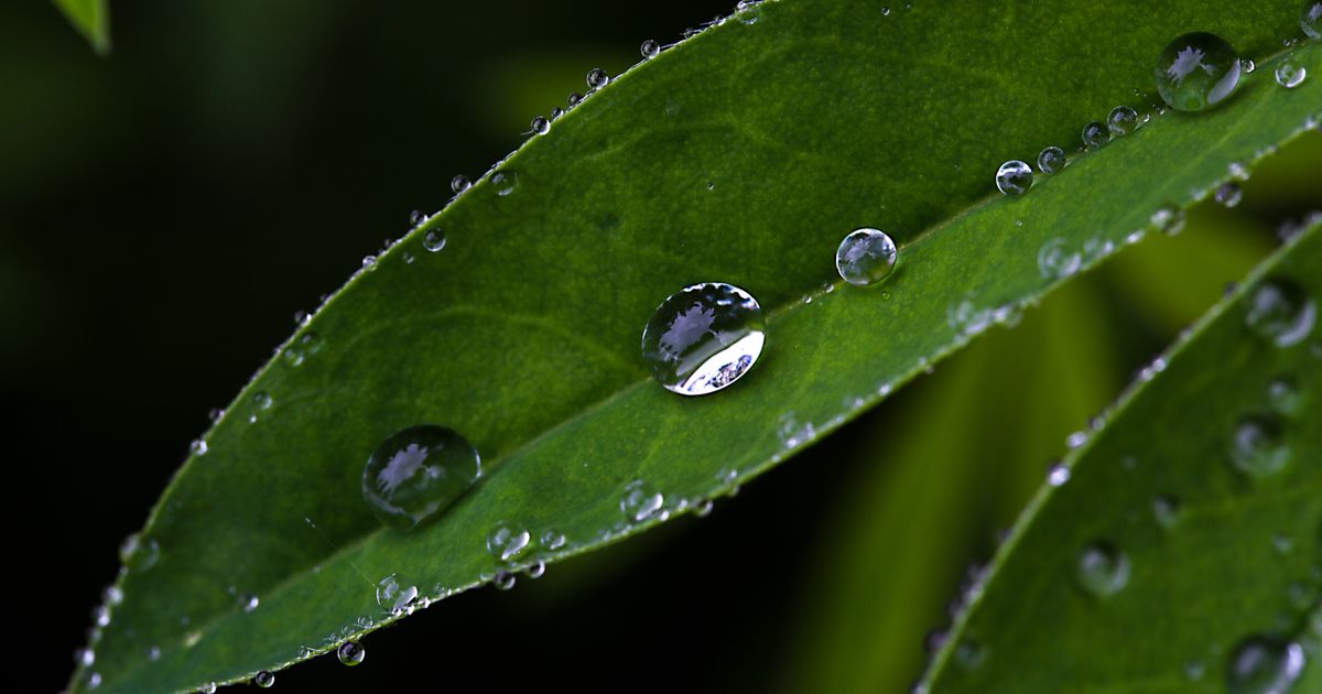 Trauma-Sensitive Practice Meditation by Vidyamala Burch | Mindfulness.com