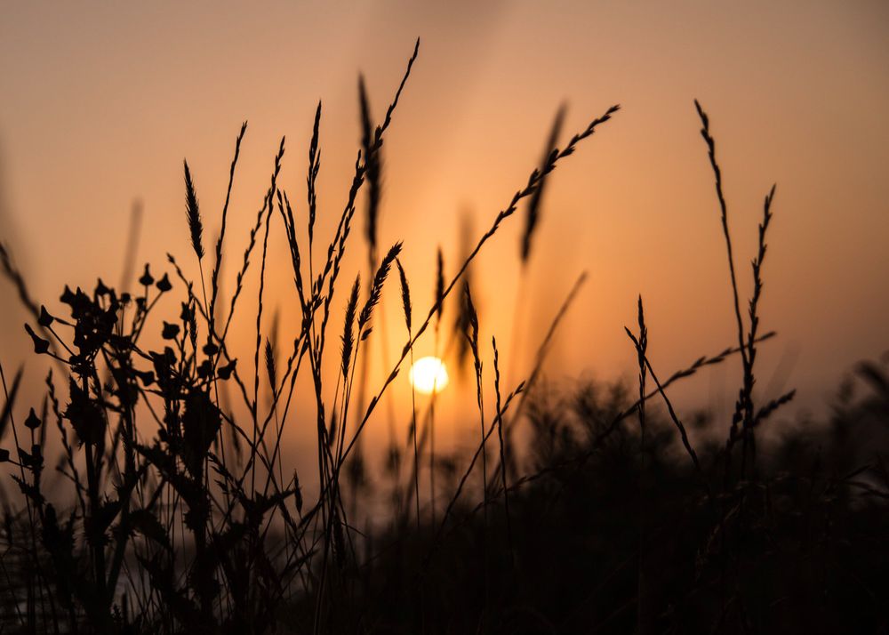 Most popular resources for anxiety | Mindfulness.com